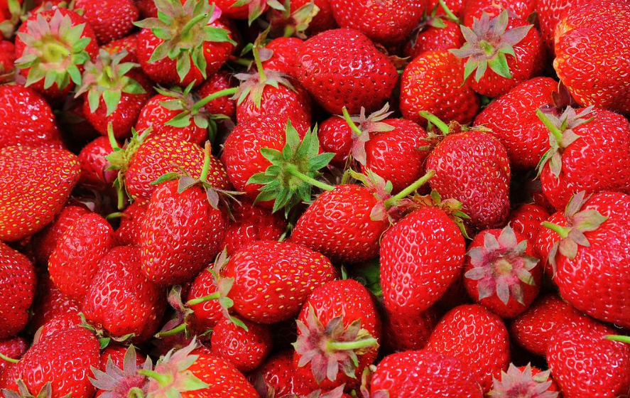 Les producteurs espagnols de fruits rouges s'inquiètent des ...