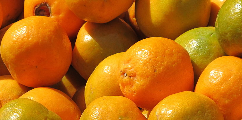 Les premières oranges maltaises tunisiennes exportées vers la France ...